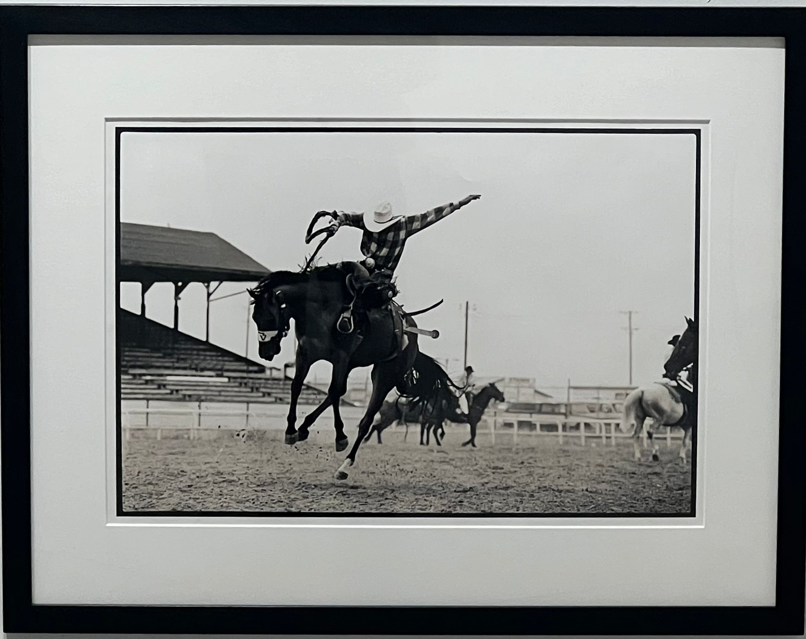 RO-018【Bucking Bronco, Cheyenne, WY, 1989】Arthur Elgort – MSQUARE